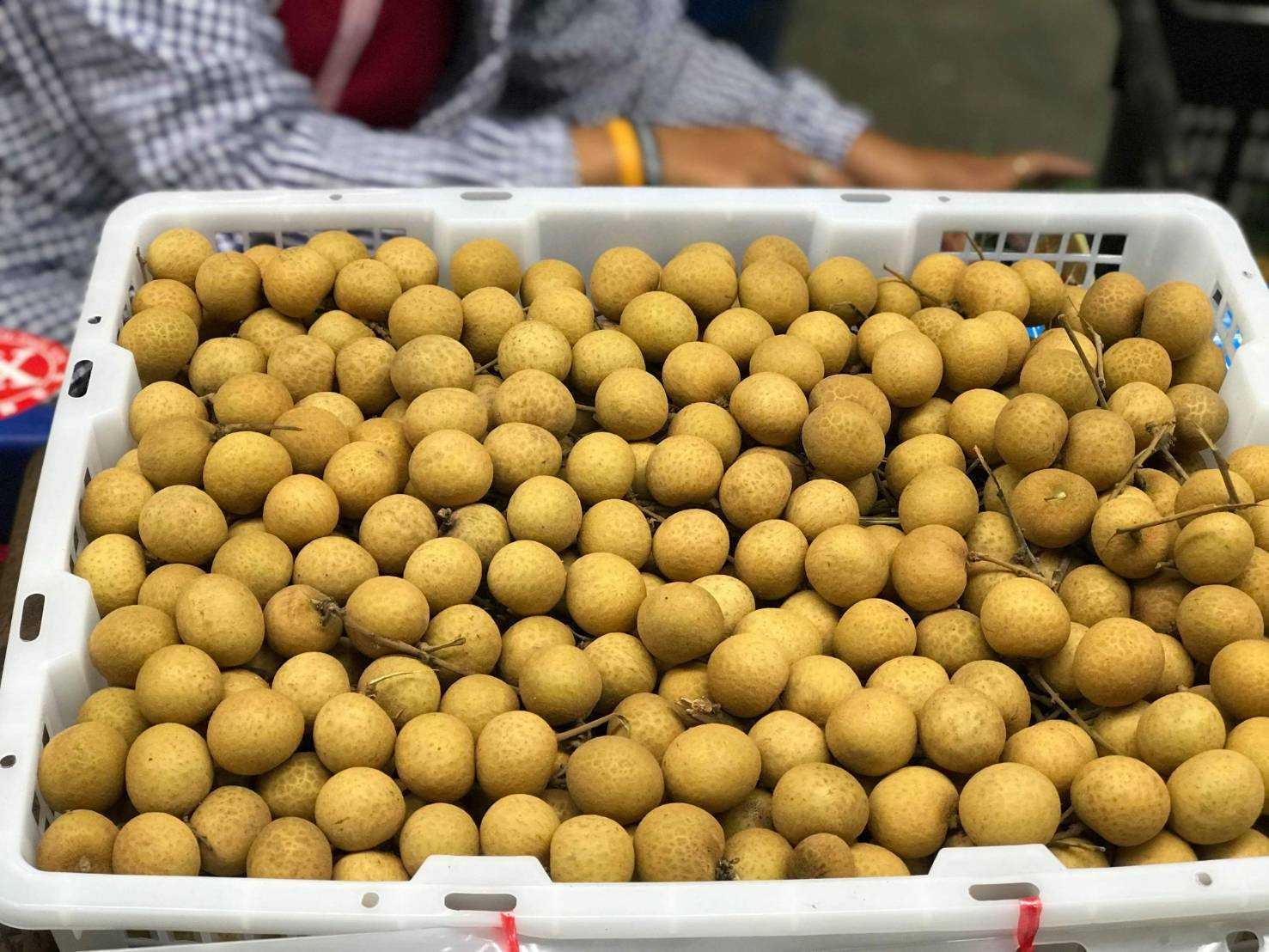 Ministry of Agriculture and Cooperatives Raises Fruit Export Standards ...